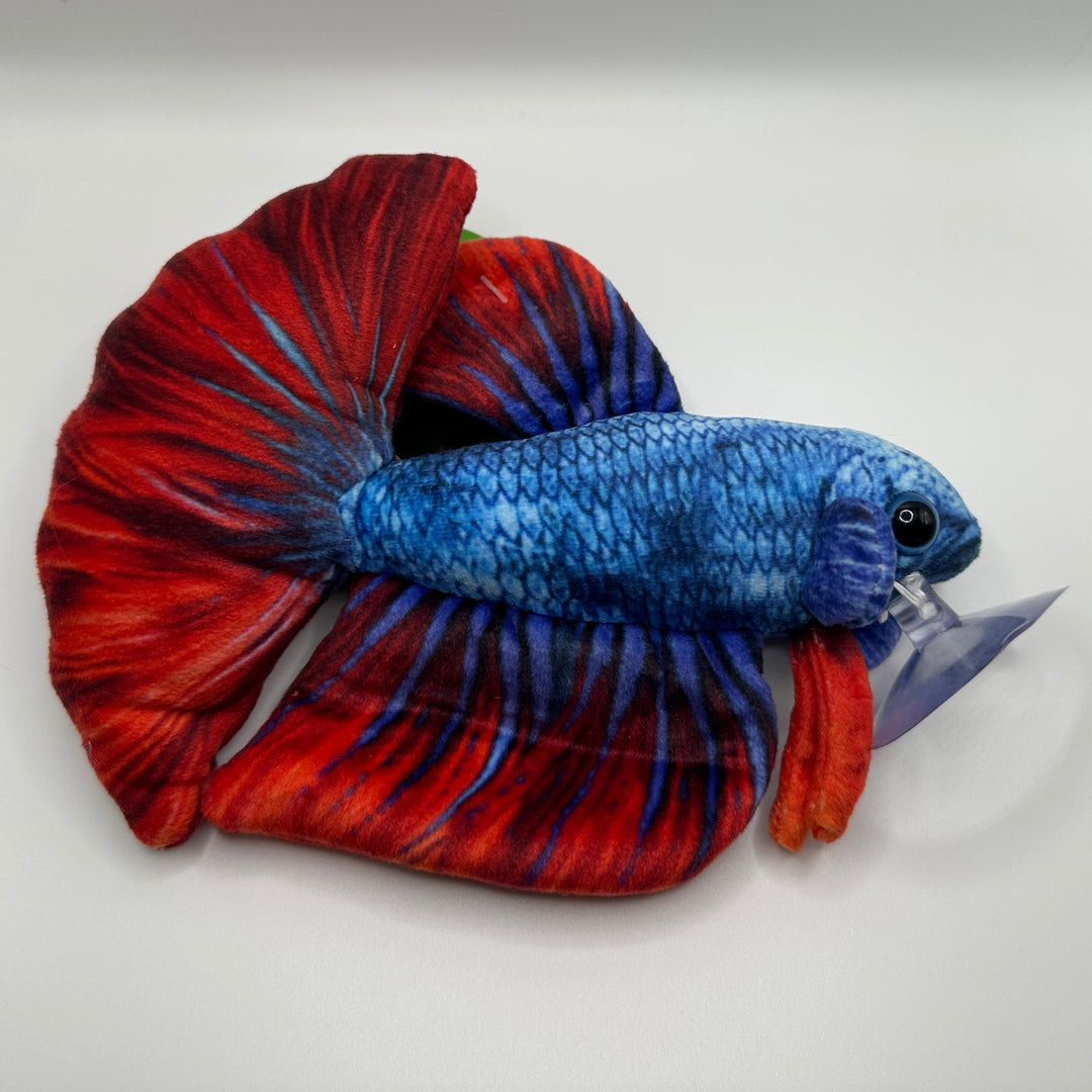 Accessories – PNW Bettas