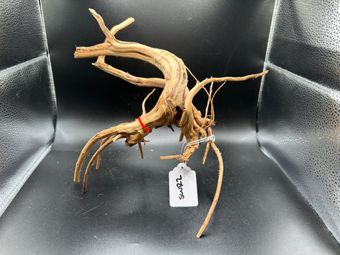 Spider Wood Medium | SWR2 – PNW Bettas