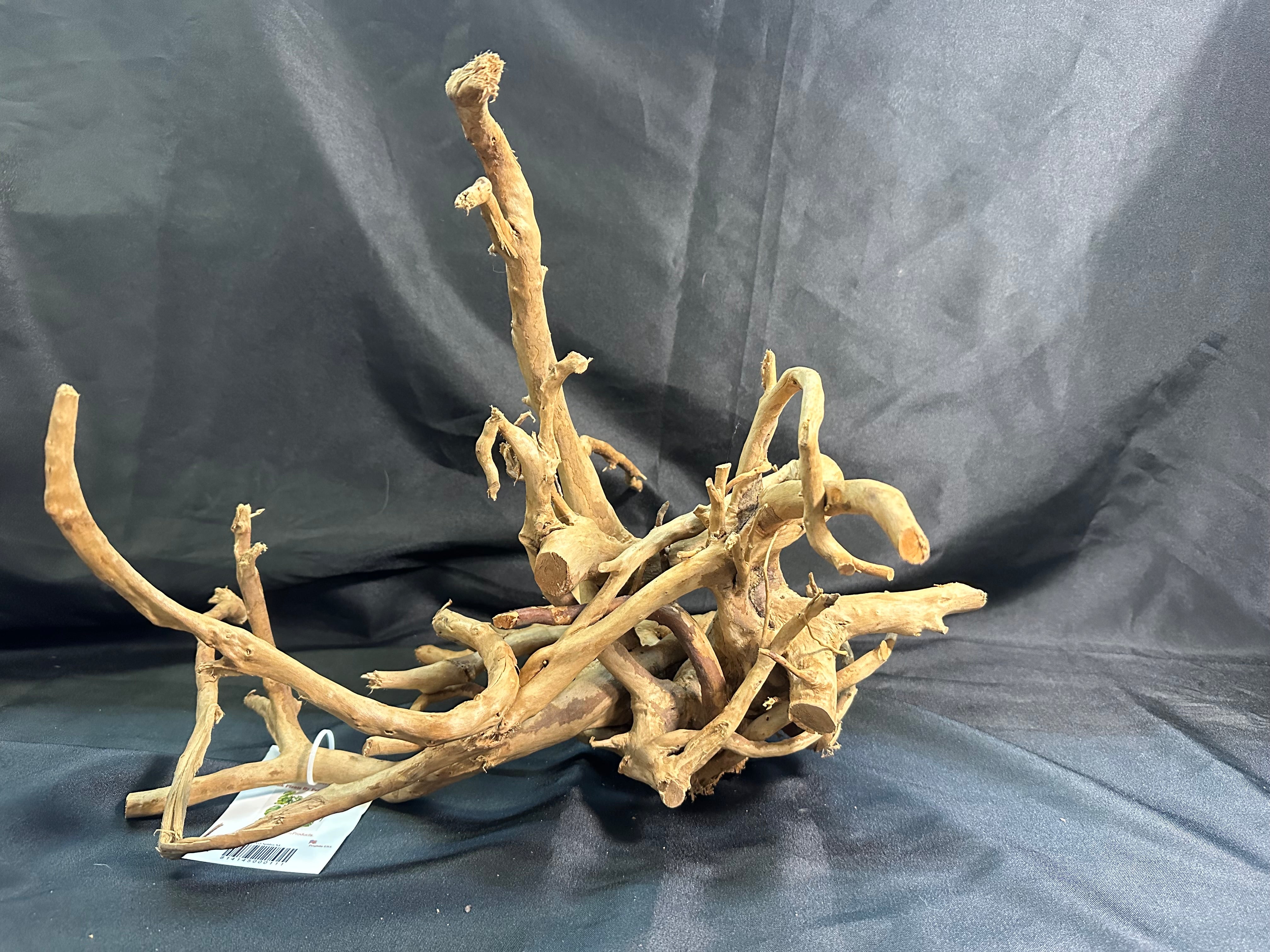 Spider Wood XL | W18 – PNW Bettas