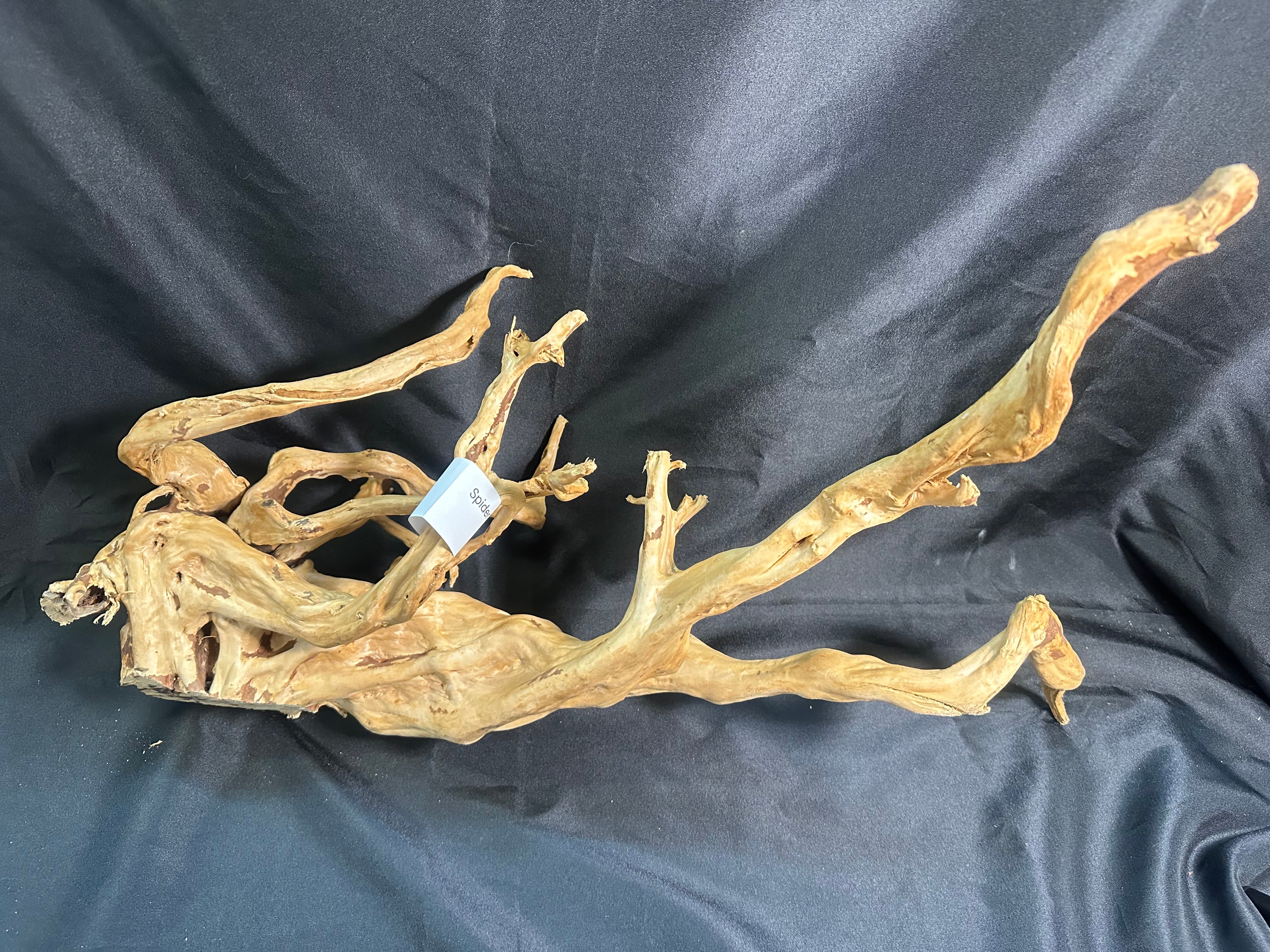 Spider Wood XXL | W19 – PNW Bettas